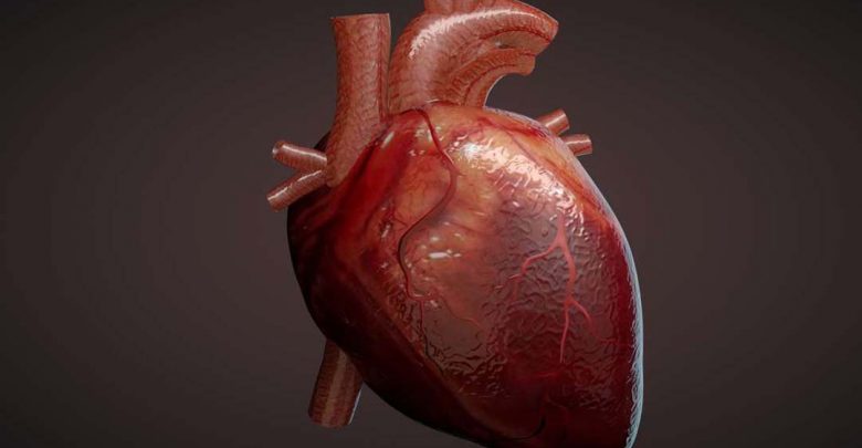 آشنایی با انواع بیماریهای قلبی به زبان ساده - مجله پزشکی درمانکده