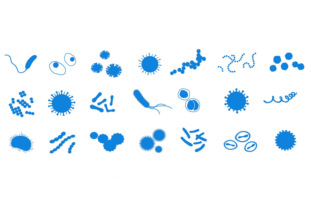 میکروب چیست؟ آشنایی با انواع میکروب‌‌ و پیشگیری از آن‌ها
