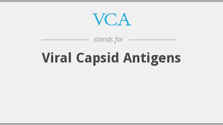آزمایش آنتی ژن کپسید ویروسی (VCA) چیست و چه کاربردی دارد؟