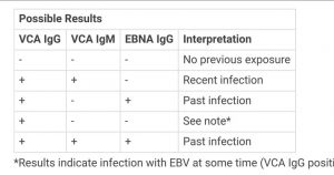 آزمایش آنتی ژن کپسید ویروسی (VCA) چیست و چه کاربردی دارد؟